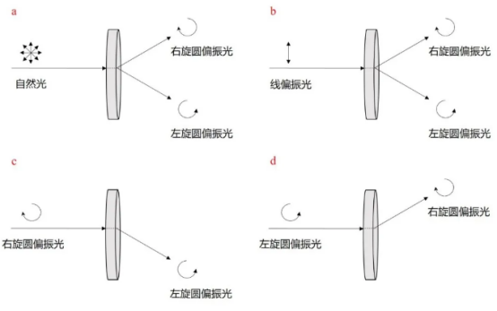 偏振光与LCD、OLED、3D、AR到底有什么关系